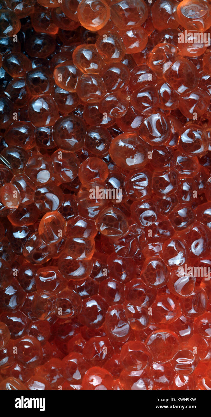 red caviar at day Stock Photo - Alamy