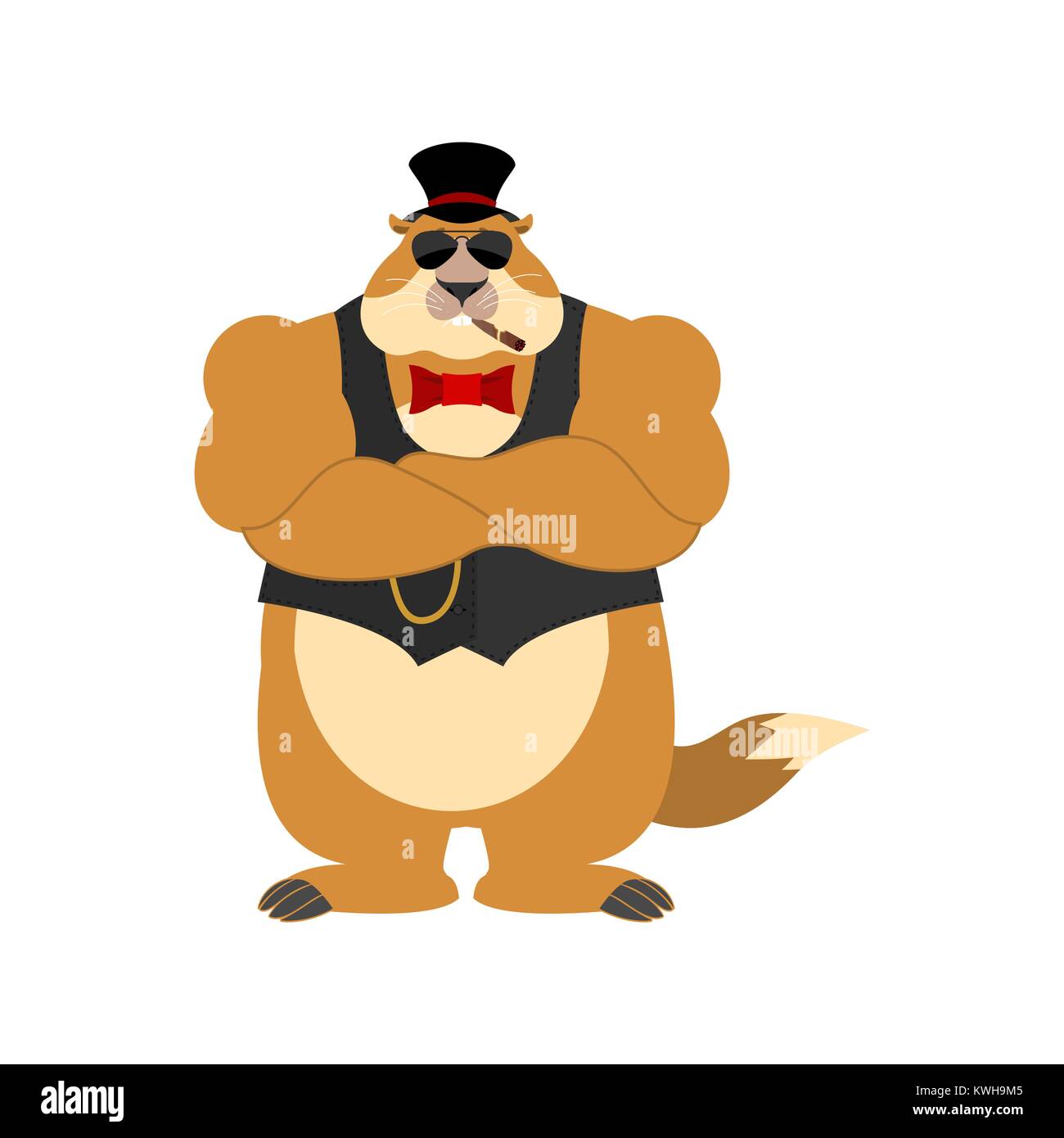 Adult woodchuck Cut Out Stock Images & Pictures - Alamy