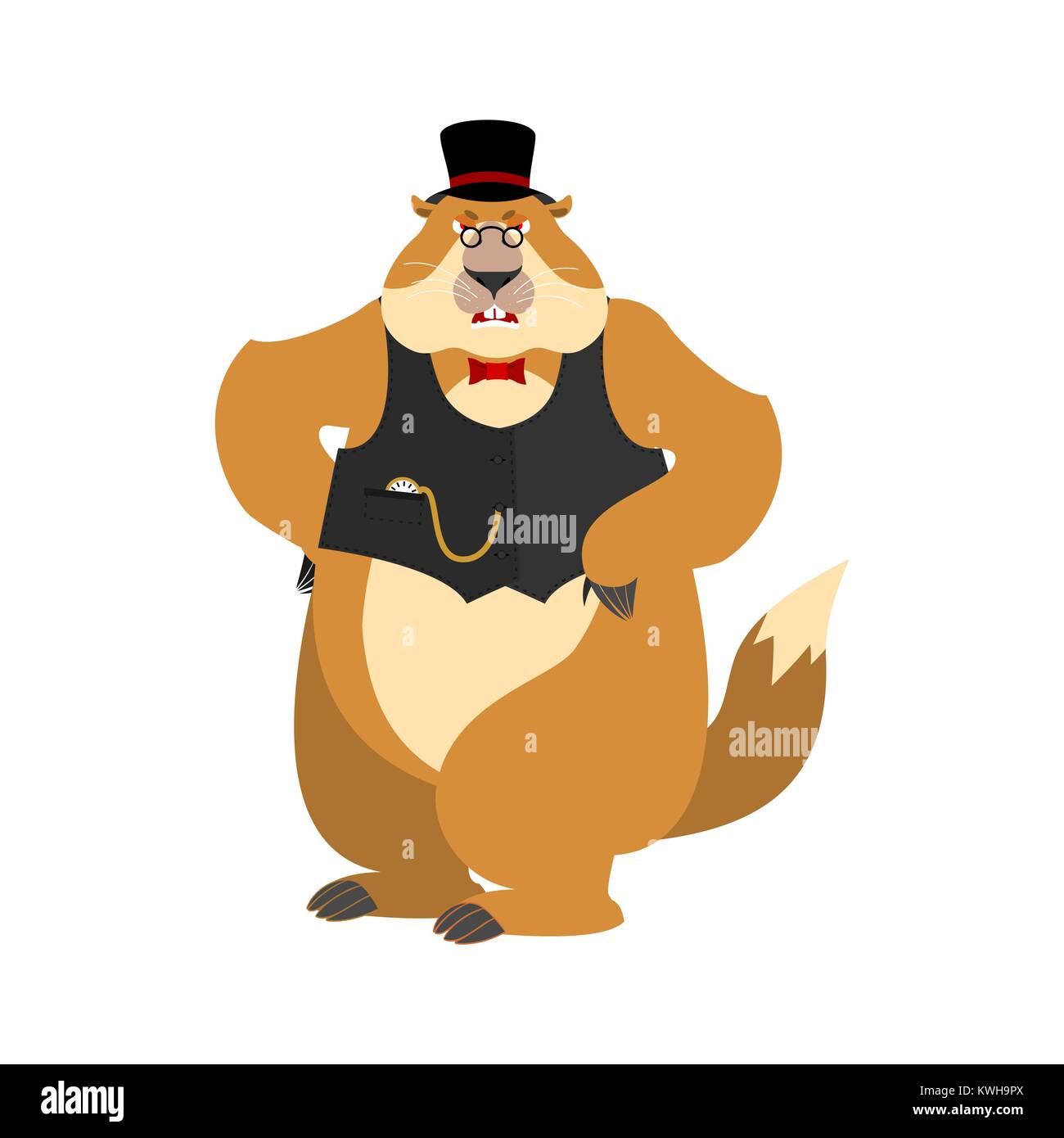 Groundhog day. Groundhog in Hat angry. Woodchuck evil emotions avatar ...