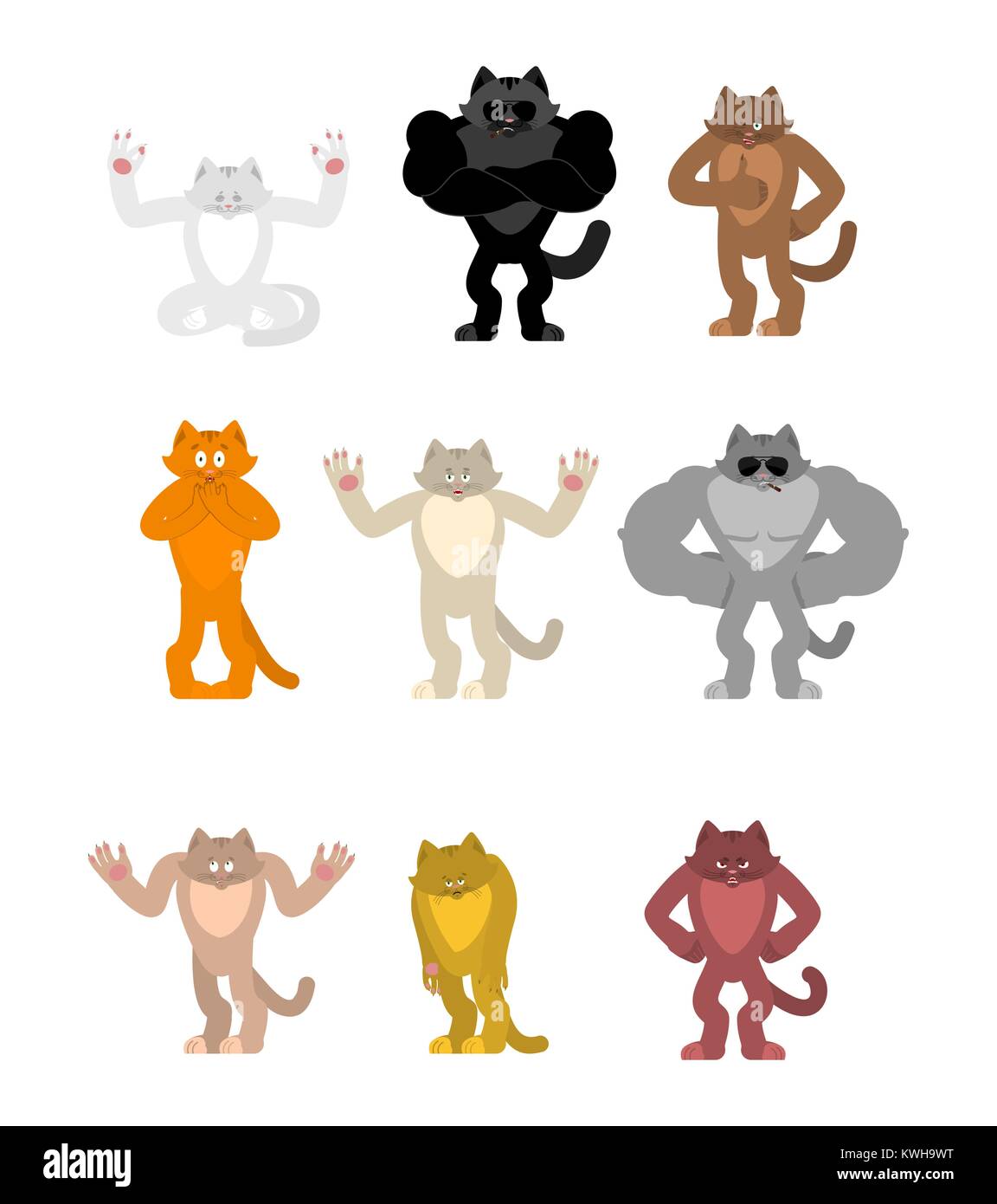 Cat set poses. Pet happy and yoga. Kitty sleeping and angry. guilty and ...