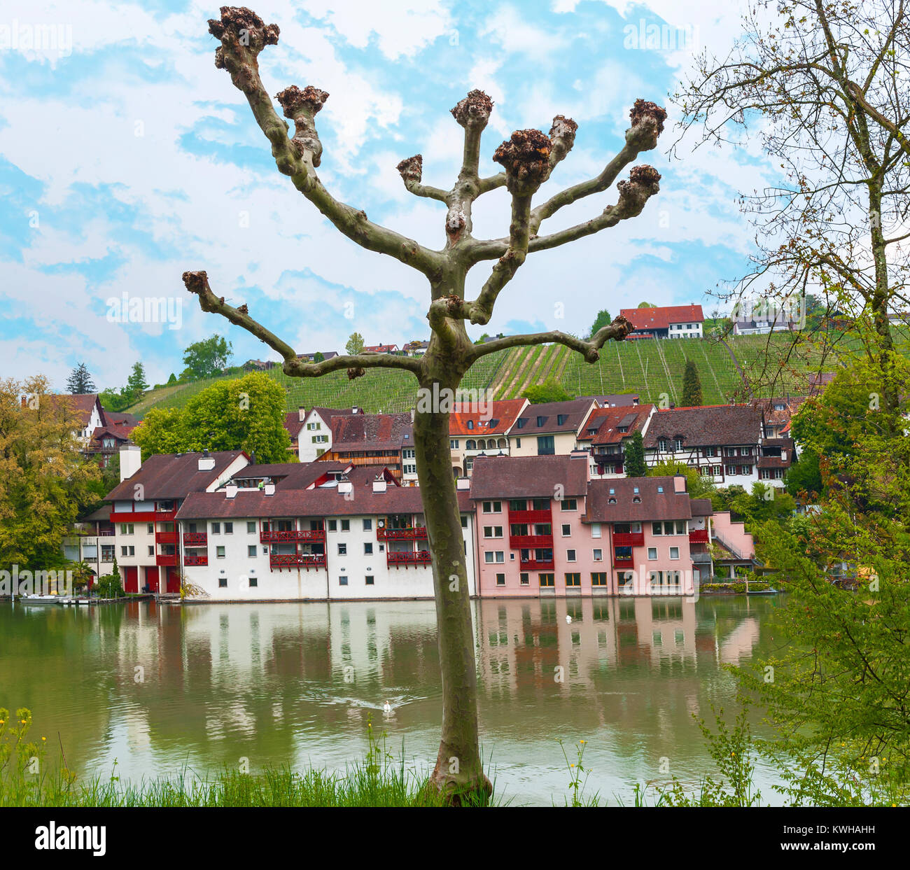 Peaceful Swiss countryside Stock Photo - Alamy