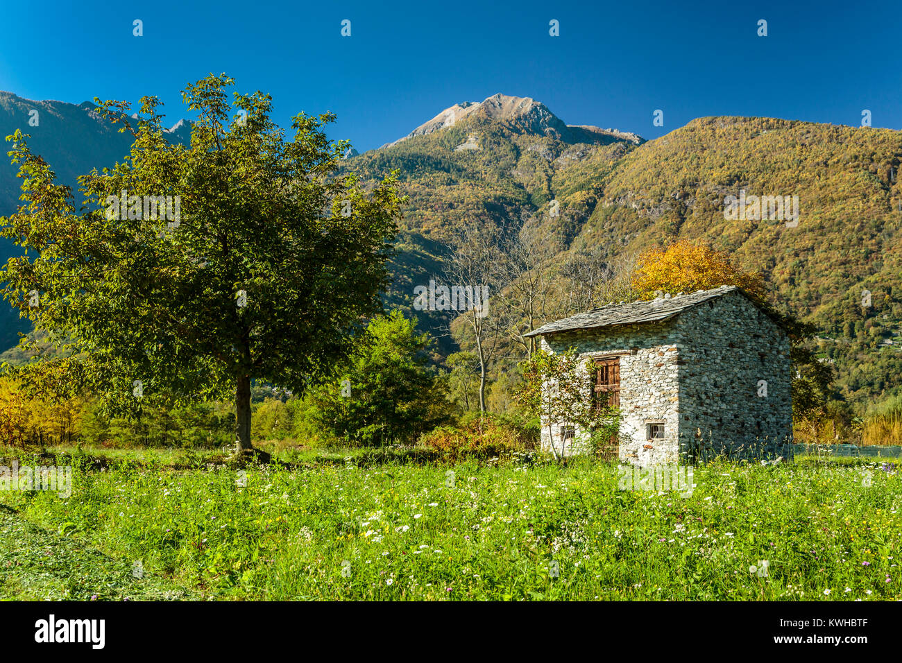 An old stone farm building in rural northern Italy, Europe Stock Photo ...