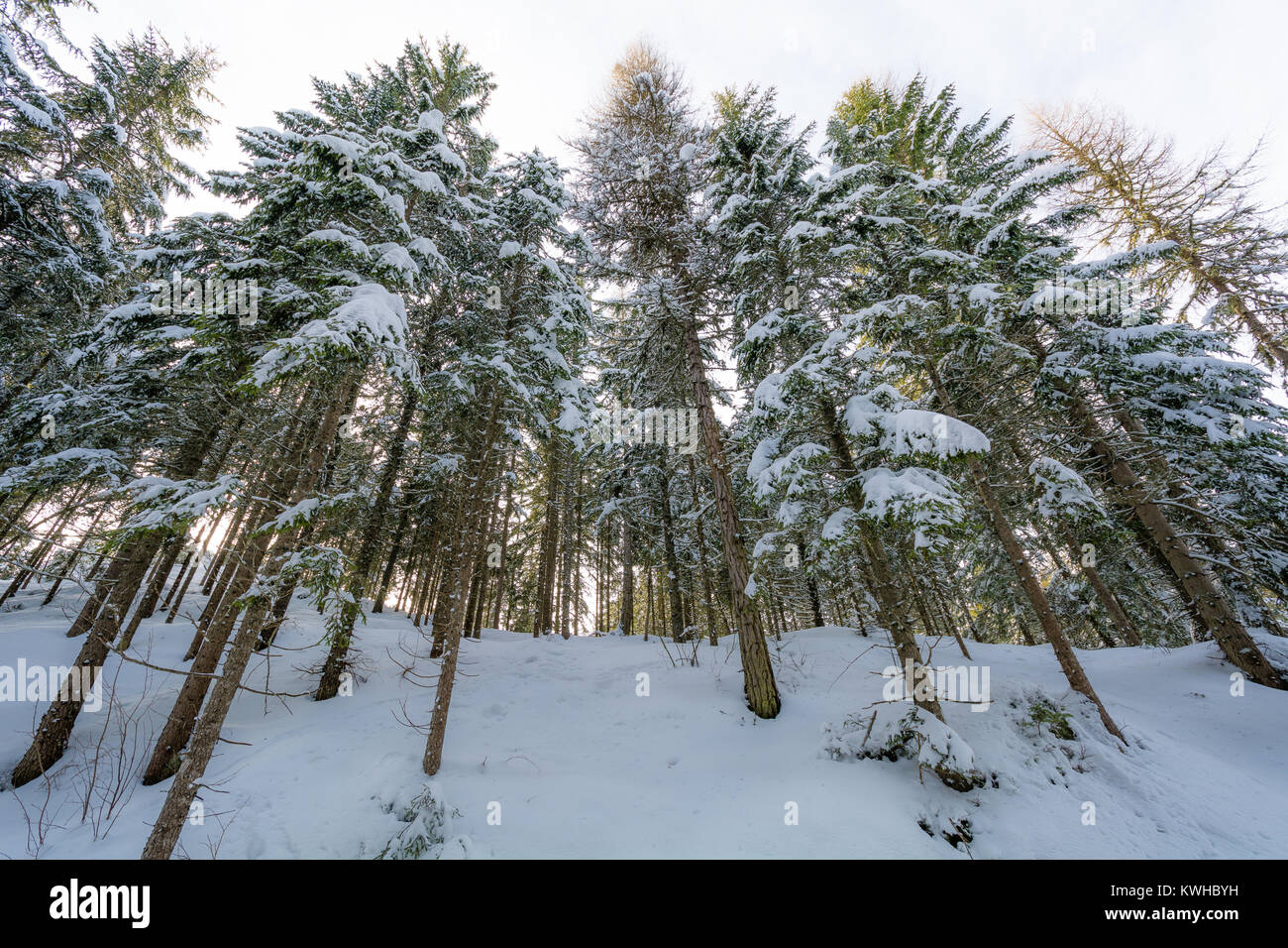 Winter season landscape scene hi-res stock photography and images - Alamy