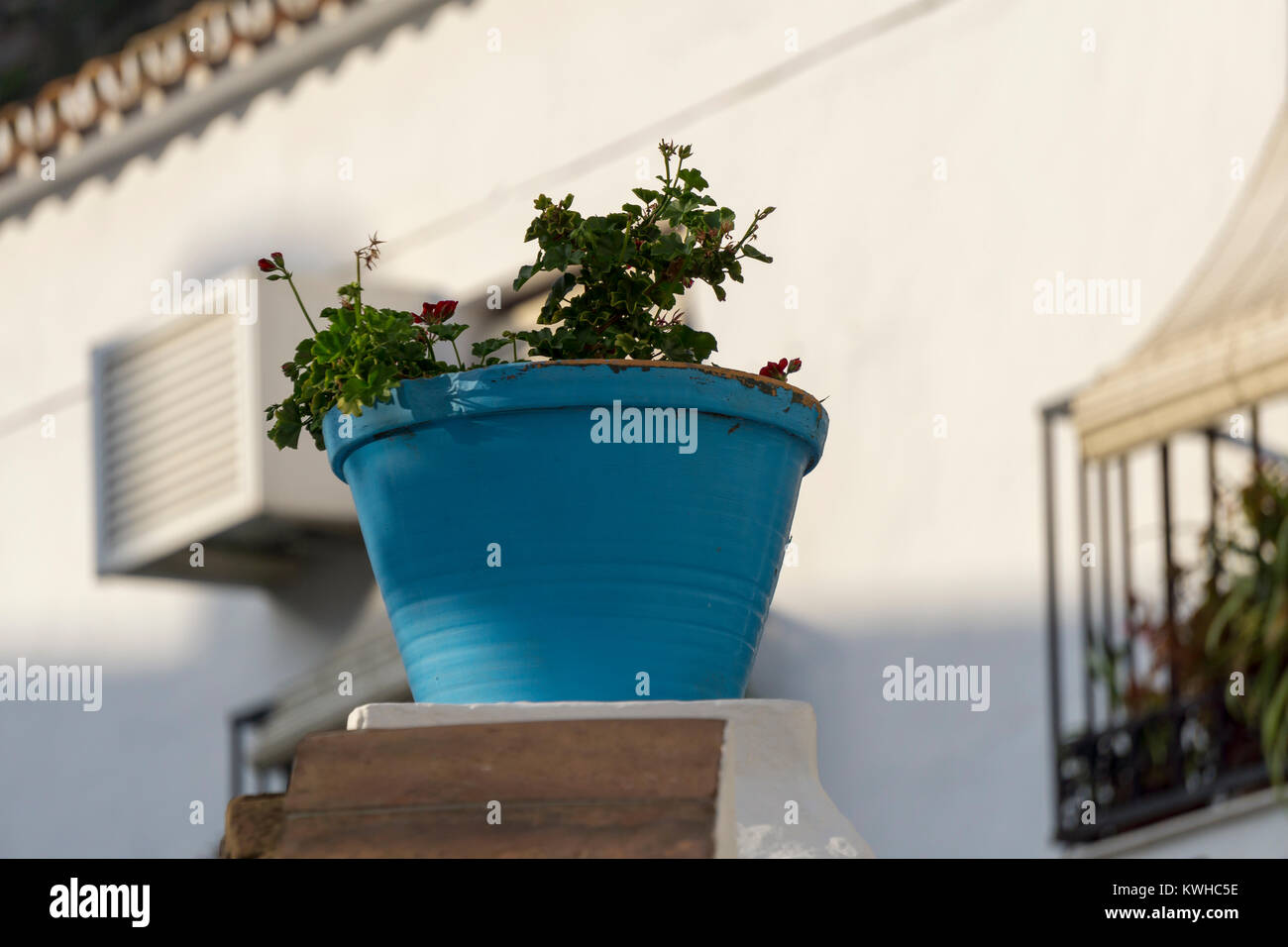 Blue flower pot Stock Photo - Alamy