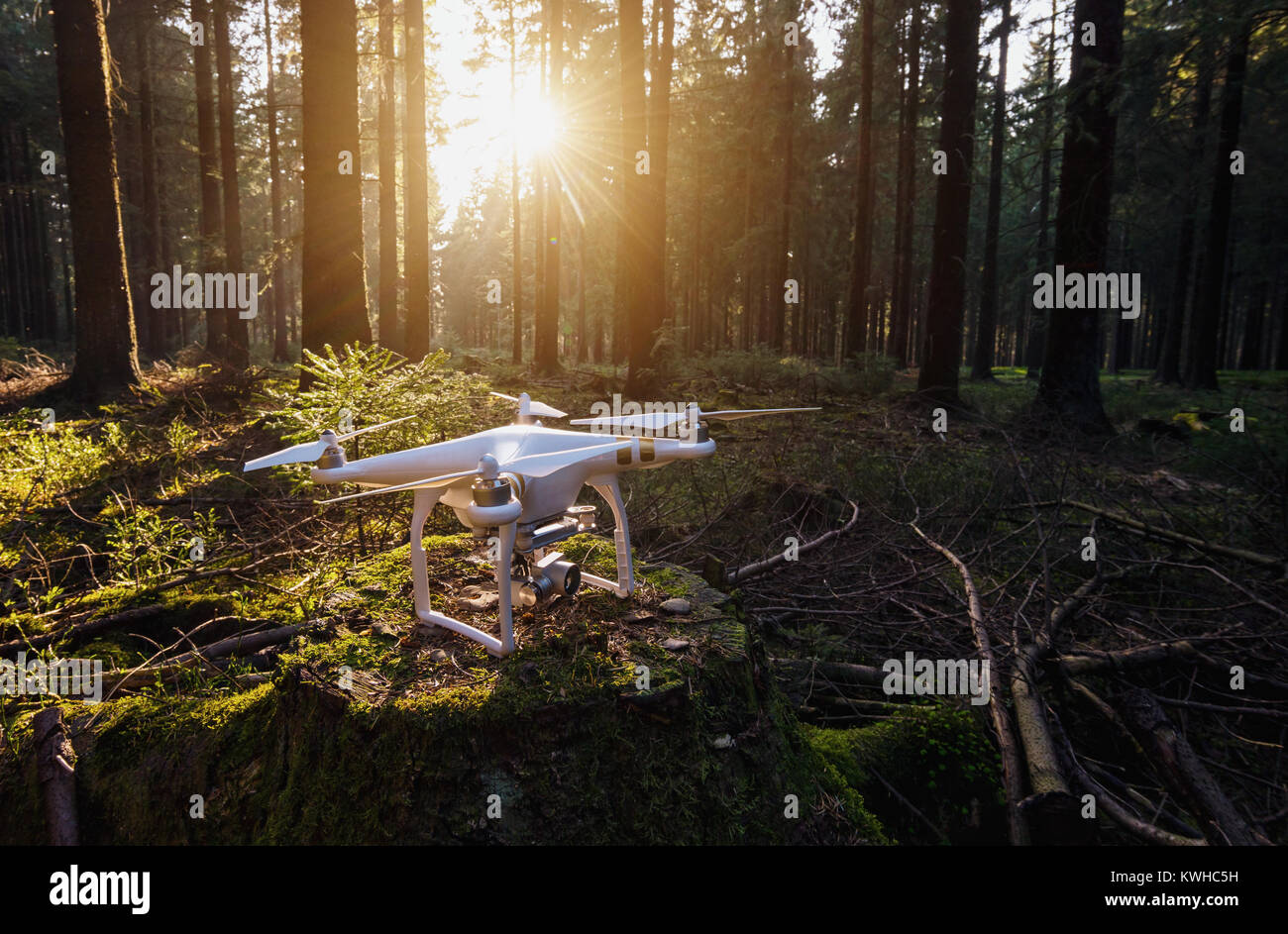 Drone tree fly hi-res stock photography and images - Alamy