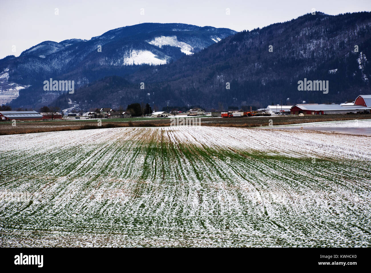 Farmland in Fraser Valley, British Columbia Stock Photo - Alamy