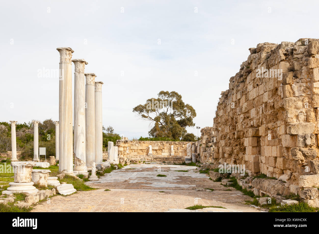 The ruins of the ancient Greek city of Salamis in the Turkish Republic ...