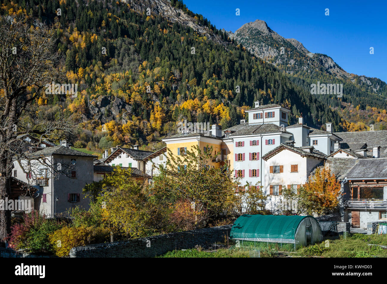 Fall foliage color in the mountains in northern Italy, Europe Stock ...