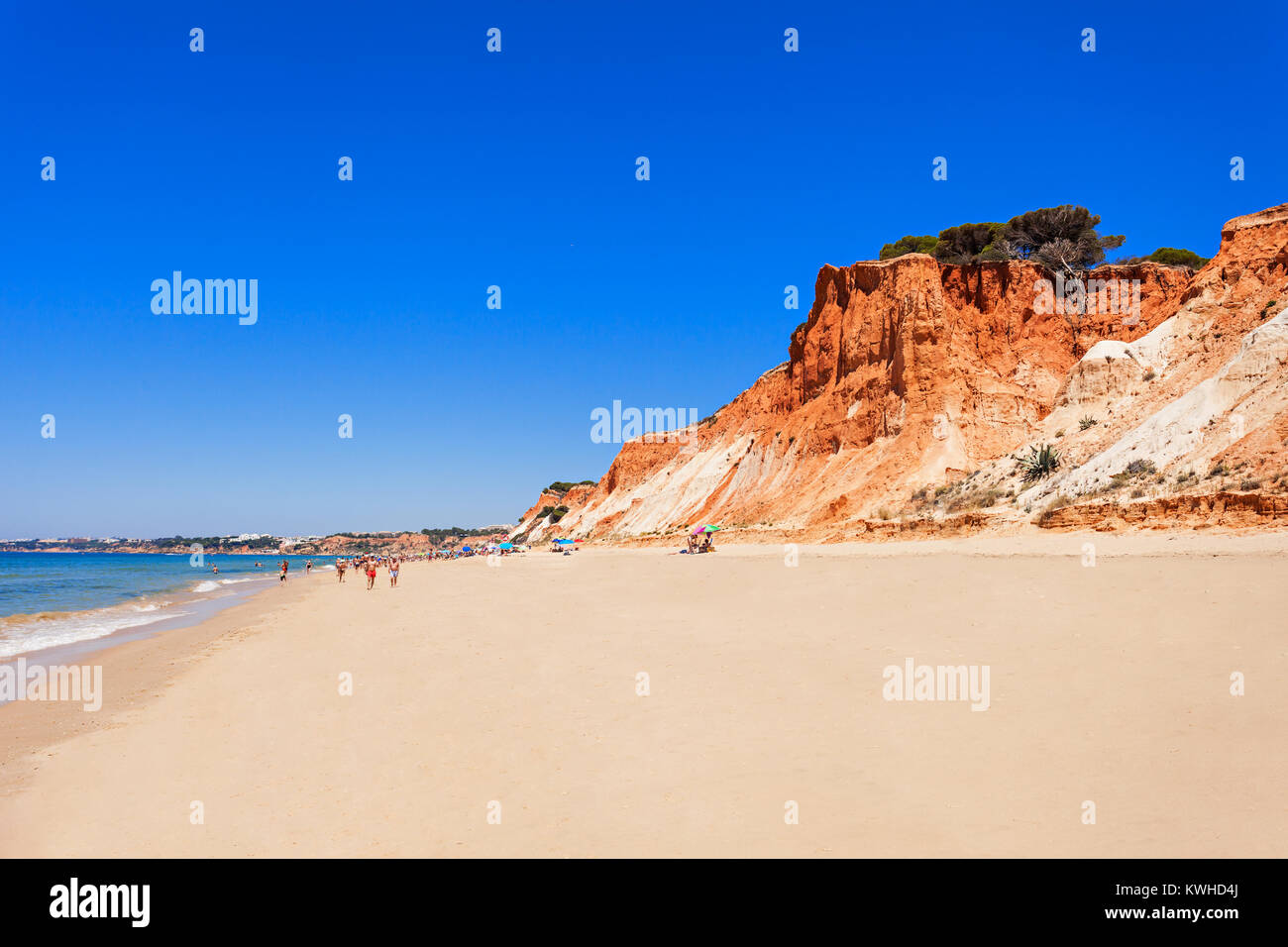 Falesia beach in Albufeira, Algarve region in Portugal Stock Photo - Alamy