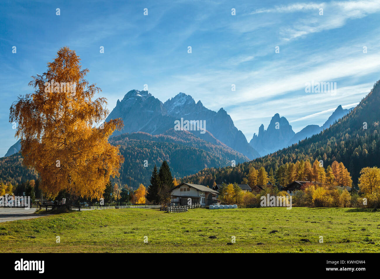 Fall foliage color in the Dolomite mountains near Padola, Belluno ...