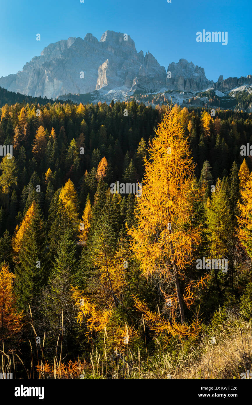 The Dolomite Alps with fall foliage color near Auronzo di Cadore ...