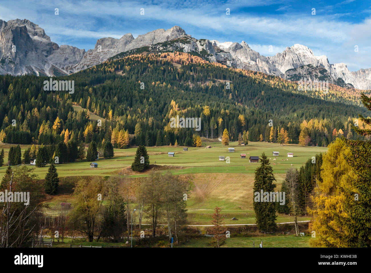 Fall foliage color in the Dolomite mountains near Padola, Belluno ...