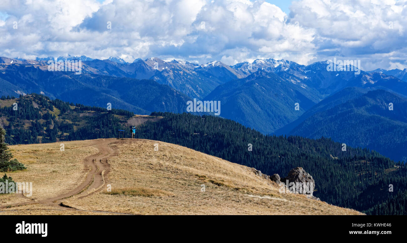 The Hurricane Hill Trail in Olympic National Park, Washington Stock ...