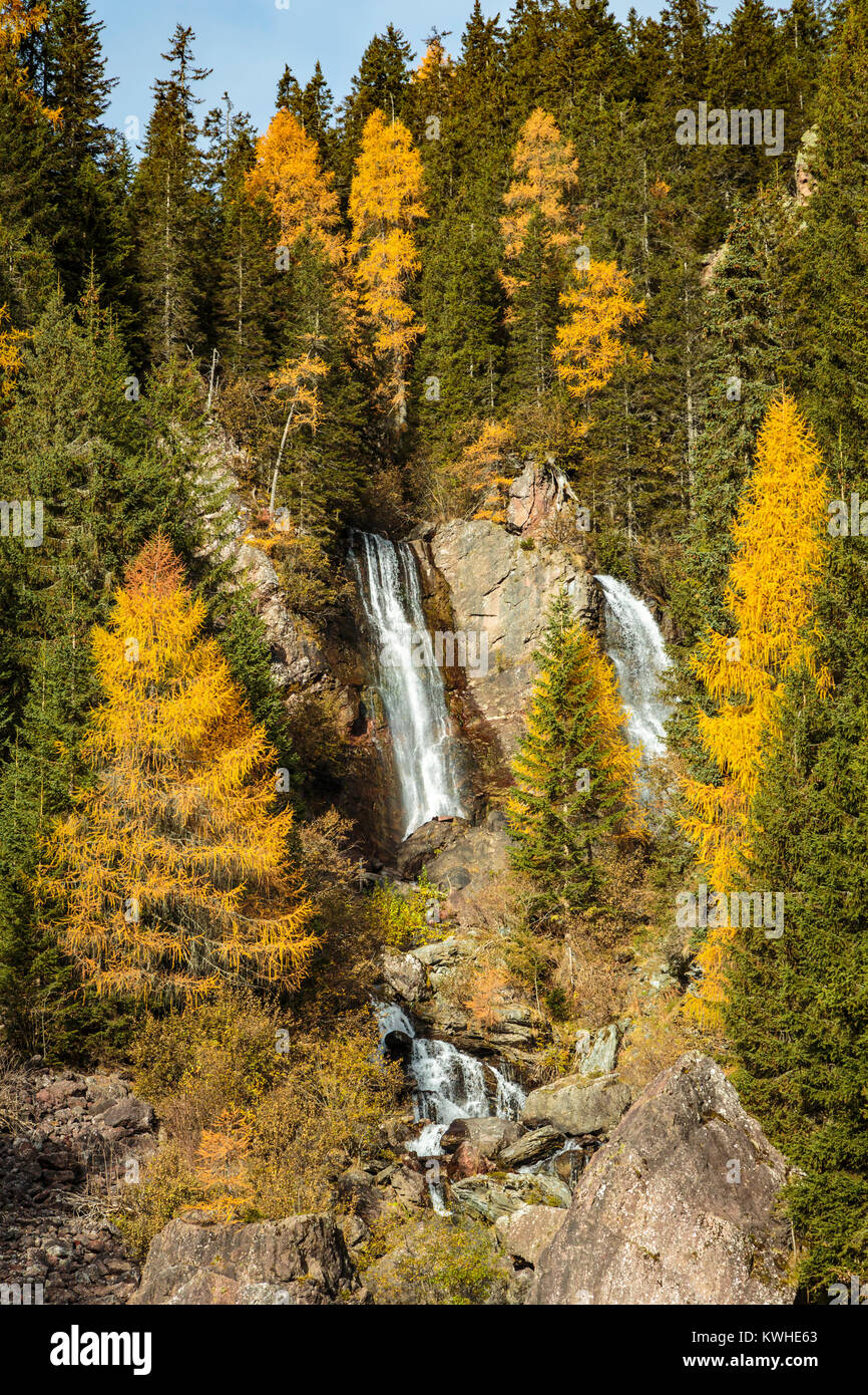 Fall foliage color in the larch trees and a Dolomite mountain waterfall ...