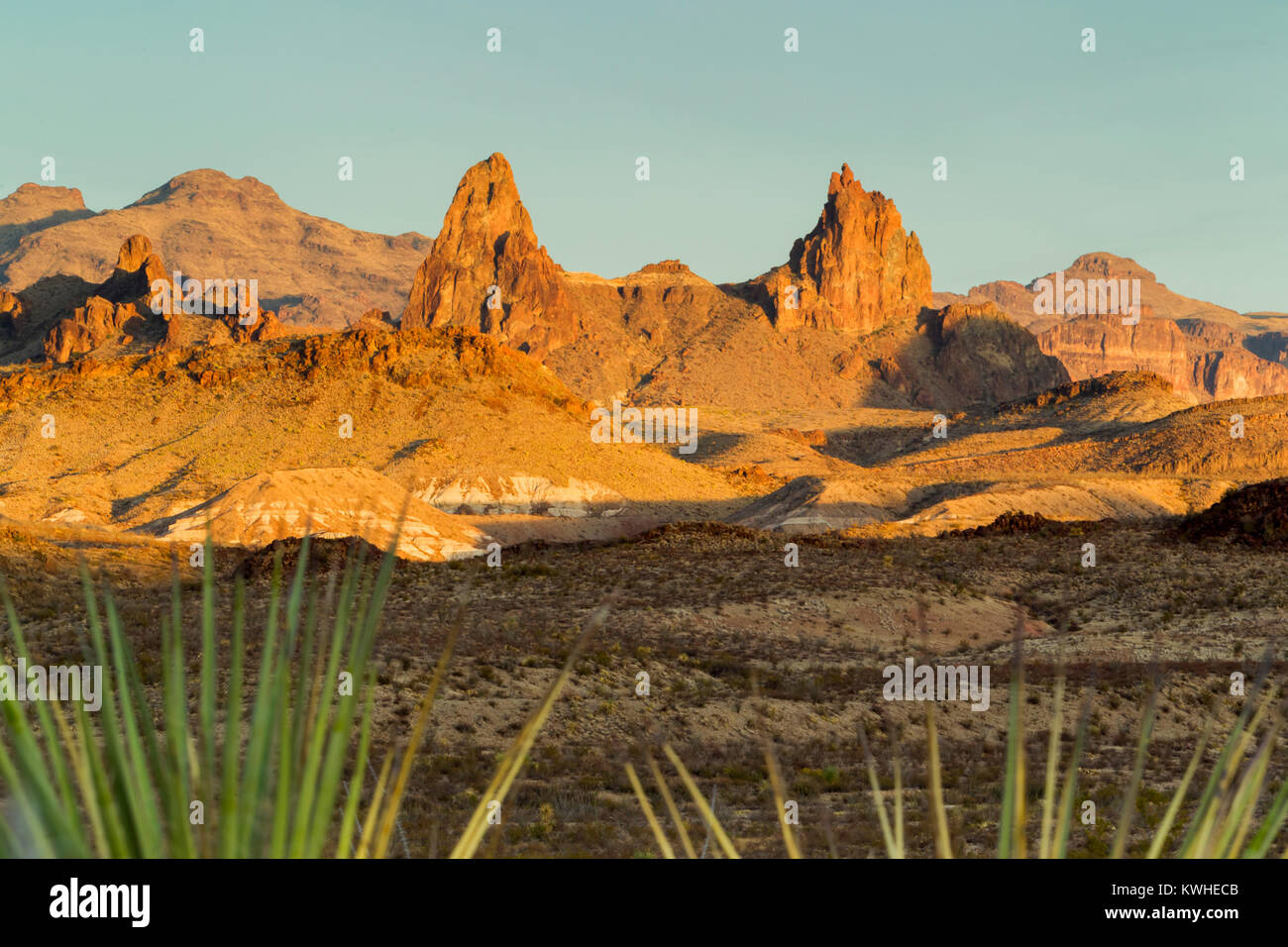 Mule Ears rock formation in Big Bend National Park, Texas Stock Photo ...