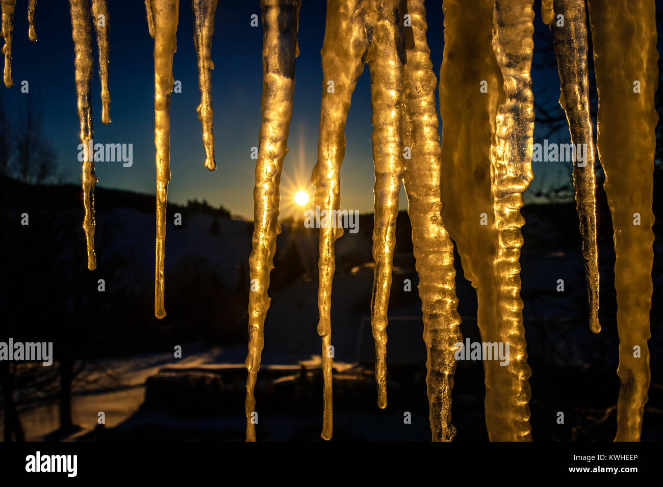 Beautiful colored icicles hanging from a roof in the black forest. The ...
