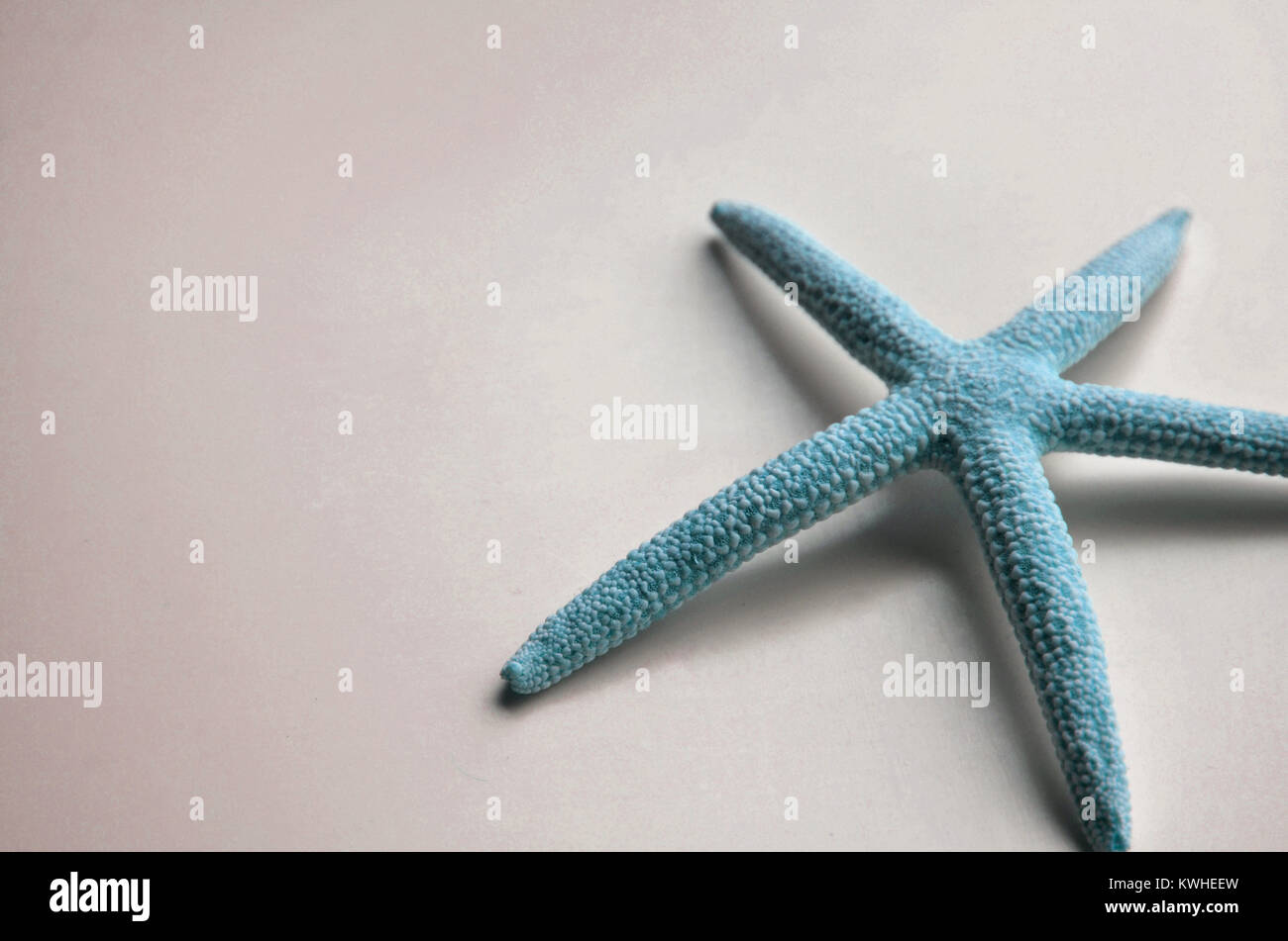 Bright coloured starfish hi-res stock photography and images - Alamy