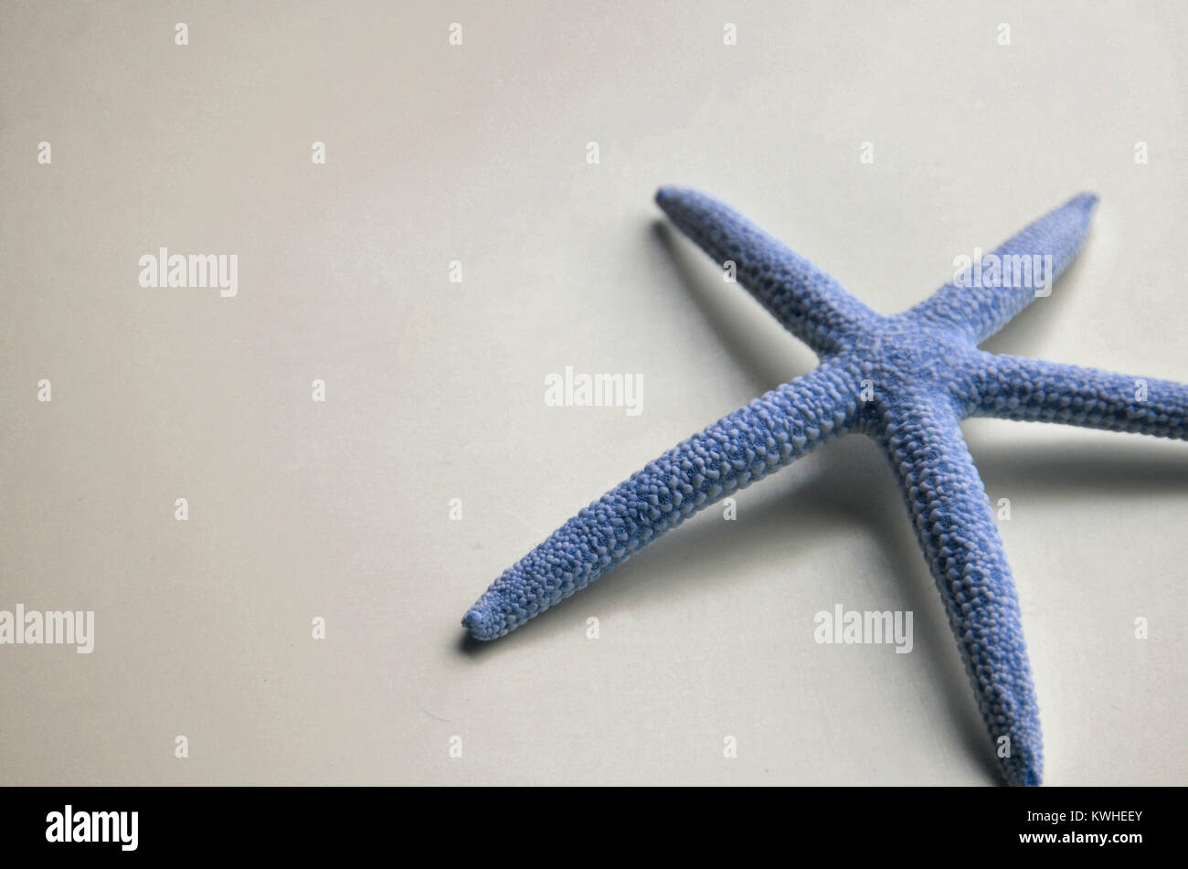 Bright coloured starfish hi-res stock photography and images - Alamy