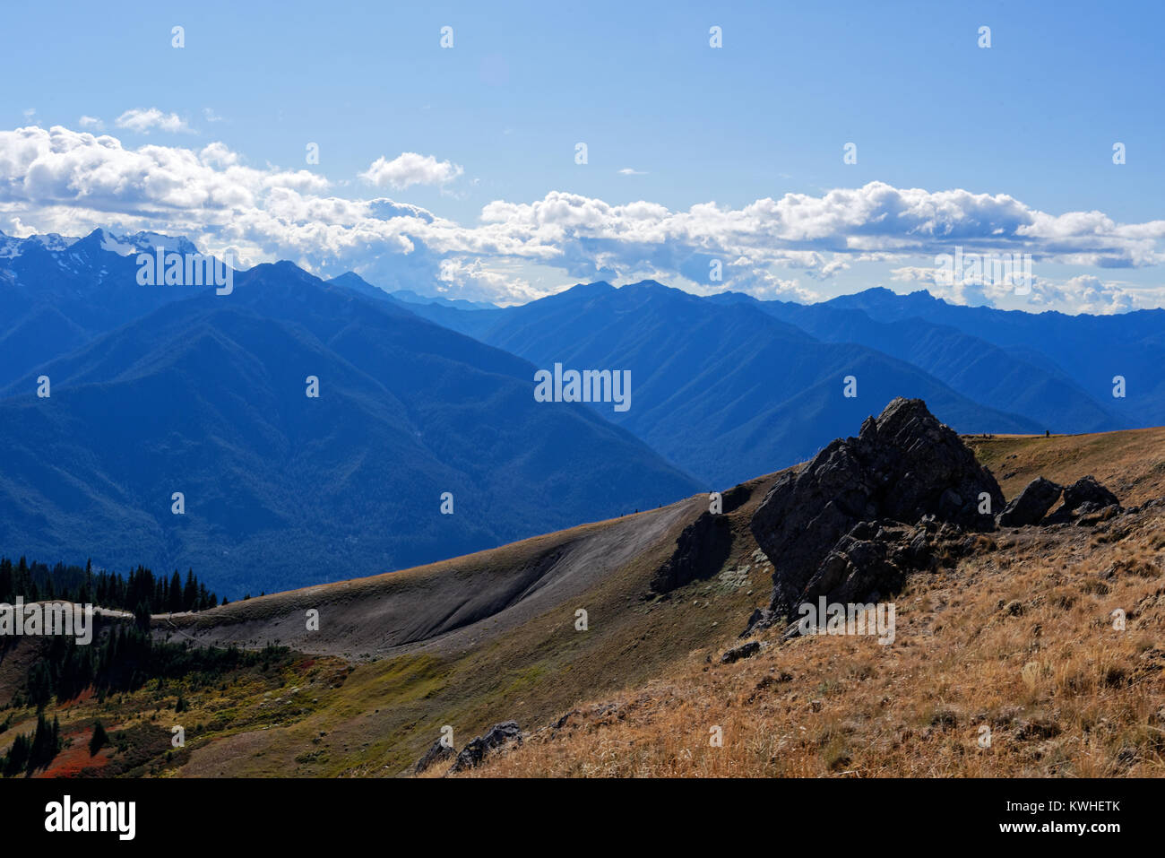 Hurricane Hill trail, Olympic National Park Stock Photo - Alamy