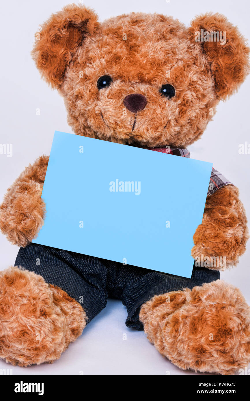 Cute teddy bear holding a blank blue sign isolated on a white ...
