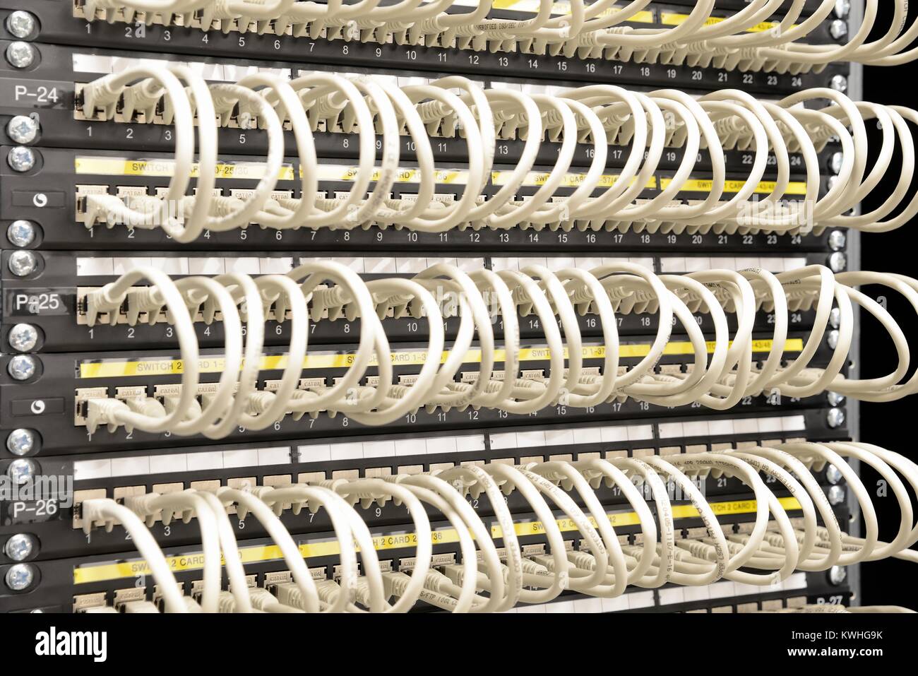 Network cables connected to switch Stock Photo - Alamy