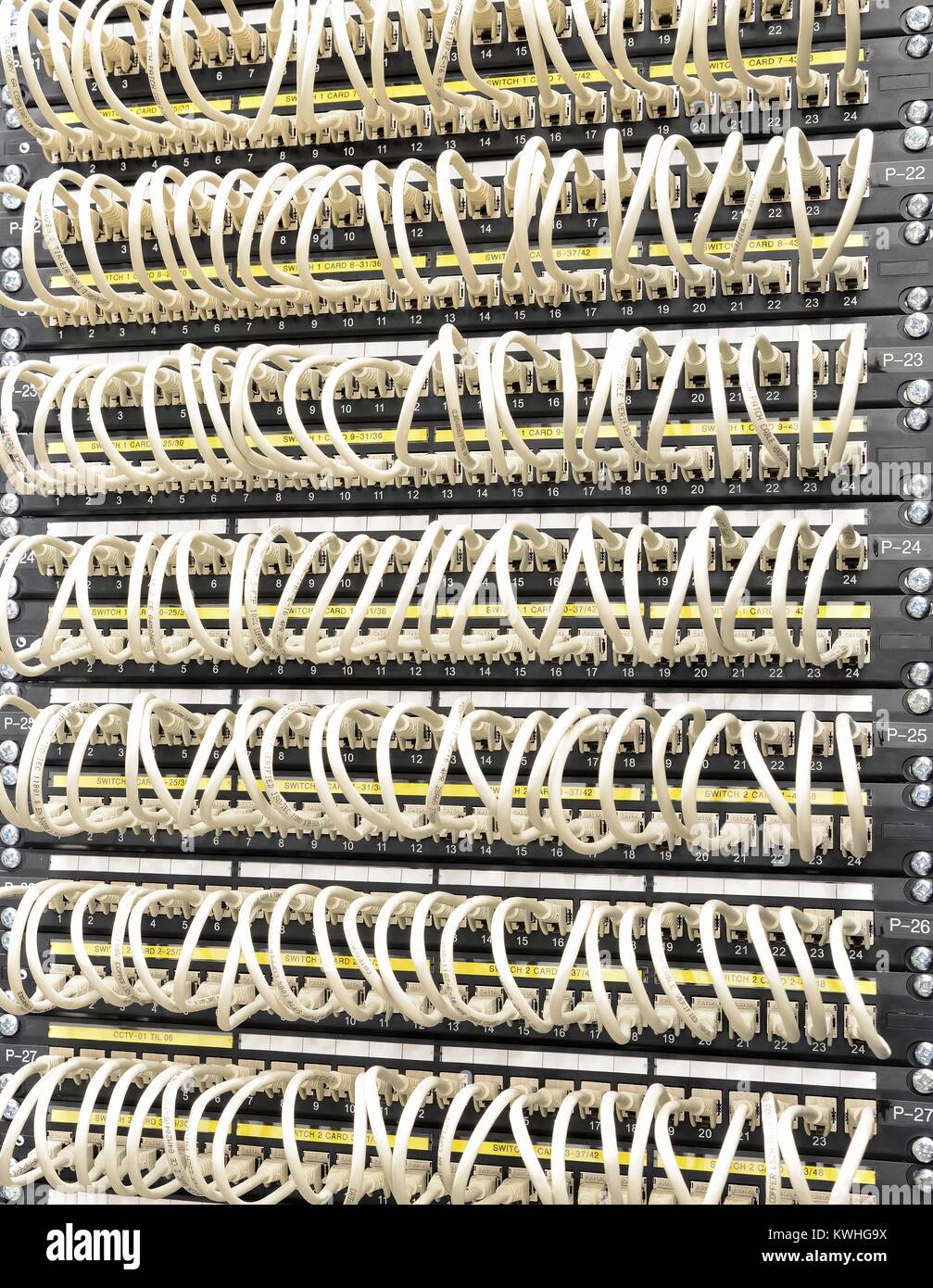 Network cables connected to switch Stock Photo - Alamy