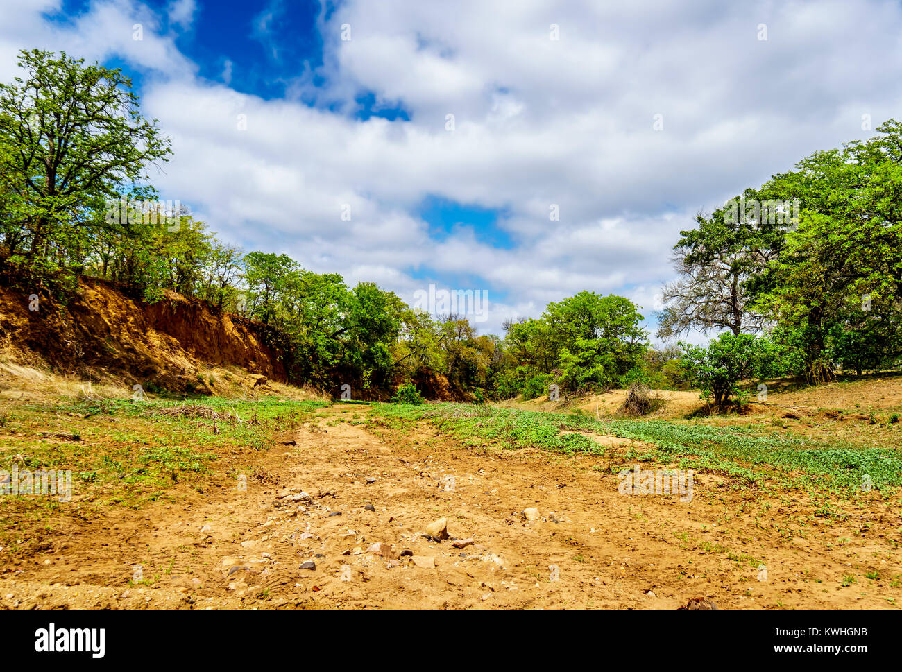 Trees in lowveld bushveld hi-res stock photography and images - Alamy