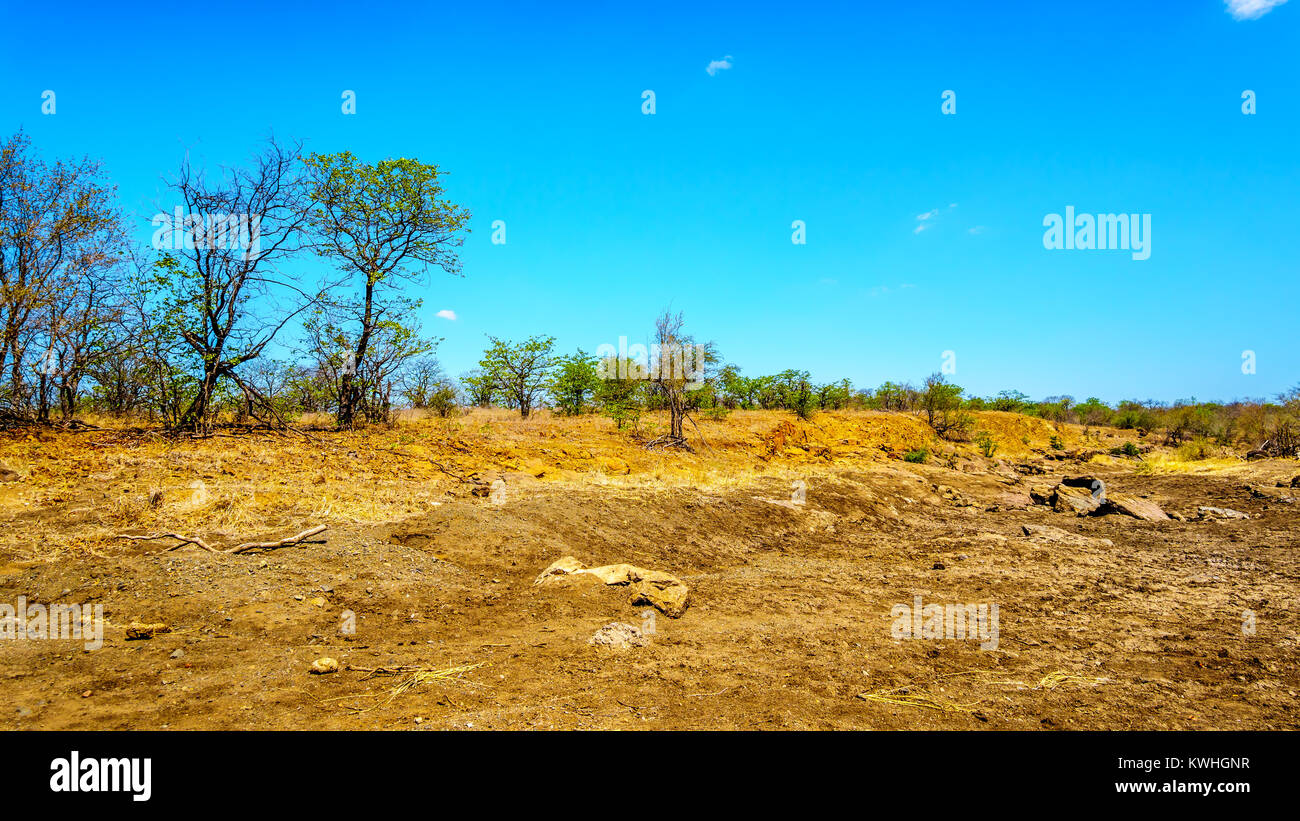 Dry river in November, the end of the dry season, in Kruger National ...