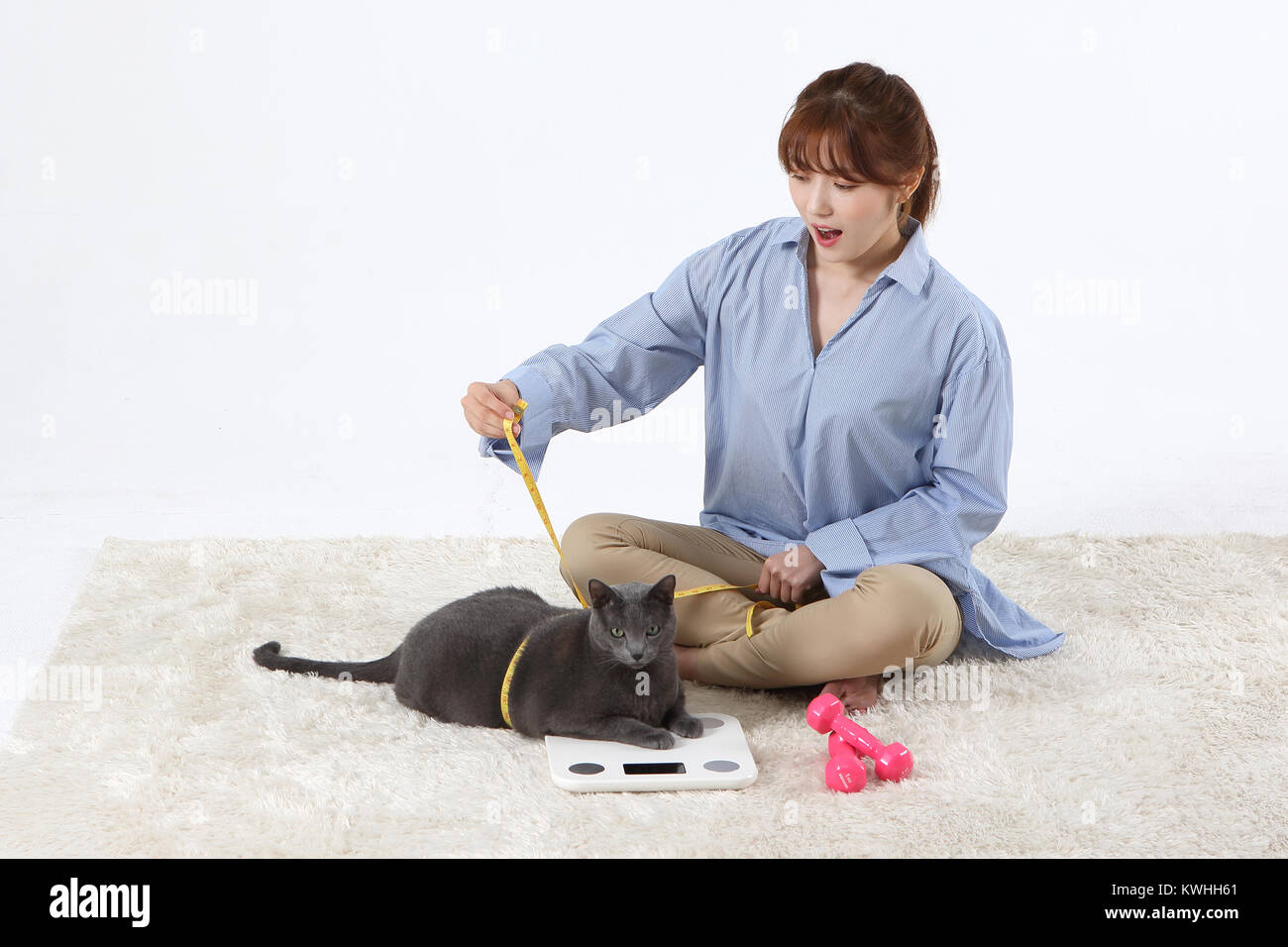 RF photo - woman single life with a companion pets 319 Stock Photo - Alamy