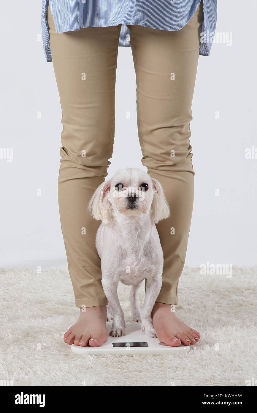 RF photo - woman single life with a companion pets 300 Stock Photo - Alamy