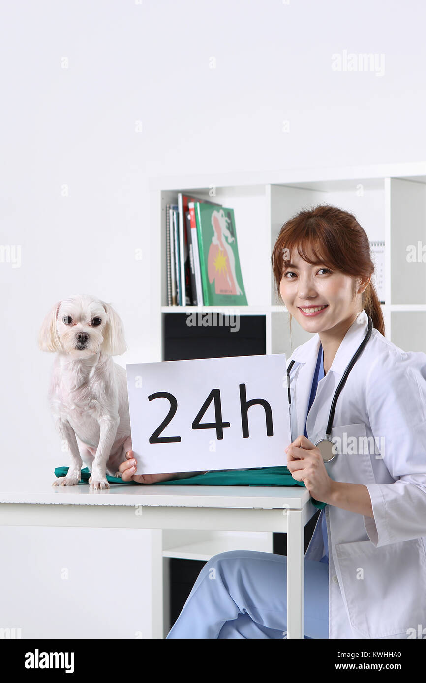 RF photo - a veterinarian is curing animals 233 Stock Photo - Alamy