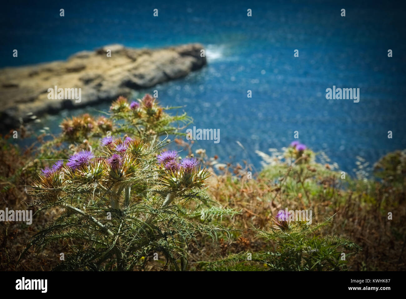 Gozo has a walking, hiking path around all of its coast giving stunning ...