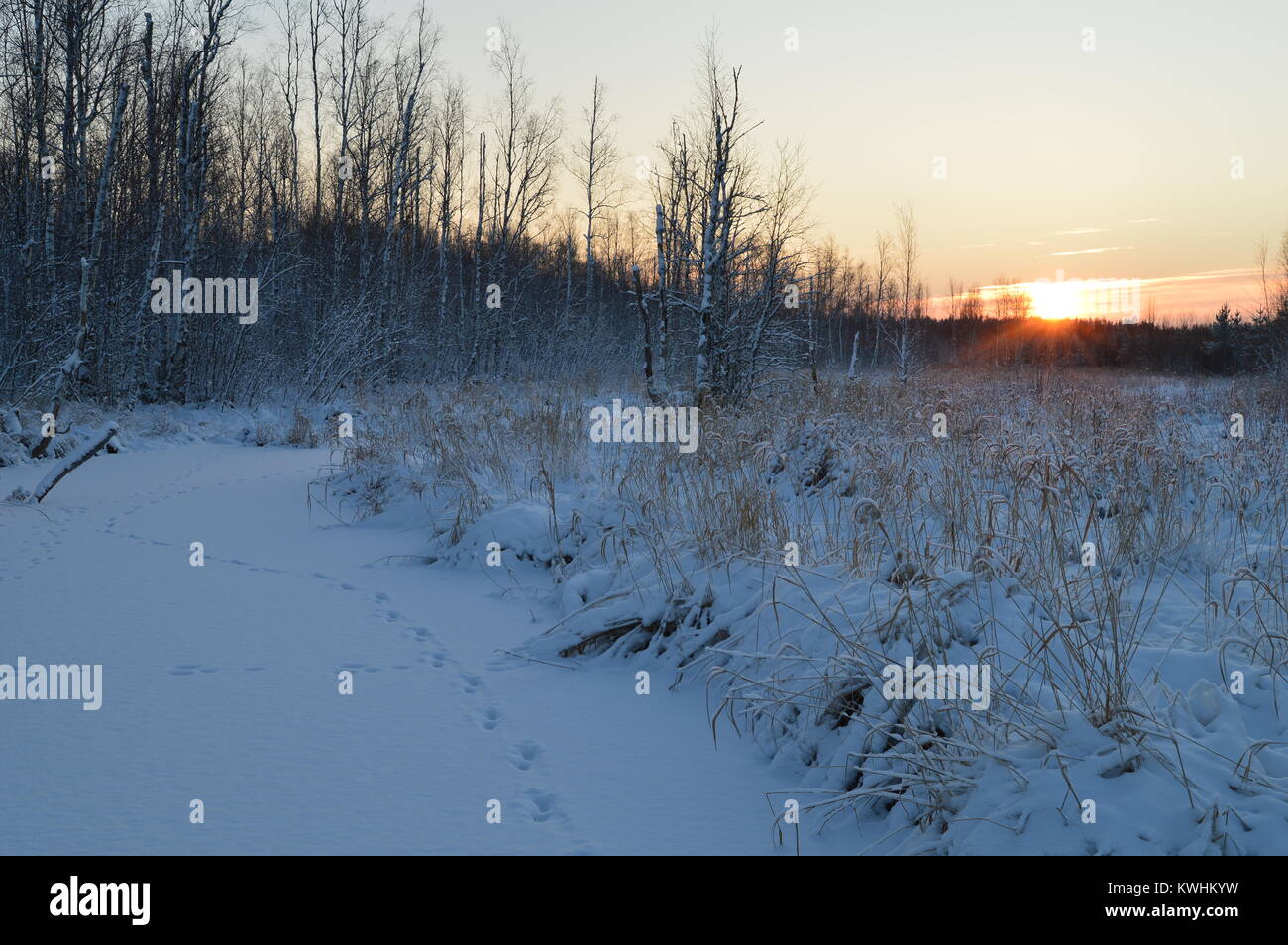 Rising sun in winter forest hi-res stock photography and images - Alamy