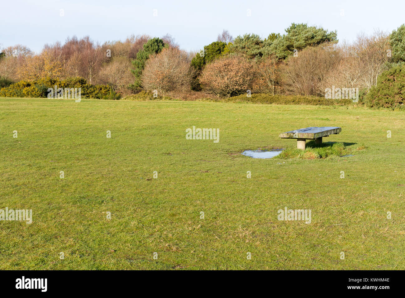 Wooden bench for walkers to sit on Turbary Common, Dorset, UK Stock ...
