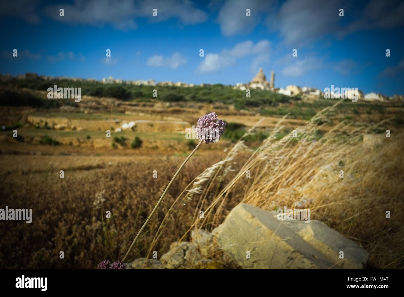 Gozo has a walking, hiking path around all of its coast giving stunning ...