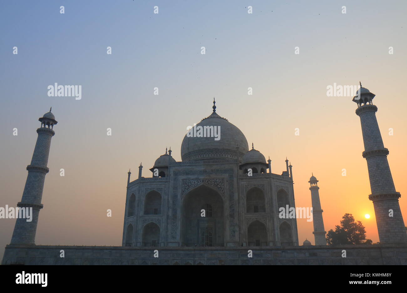 Iconic architecture Taj Mahal pillar Agra India Stock Photo - Alamy