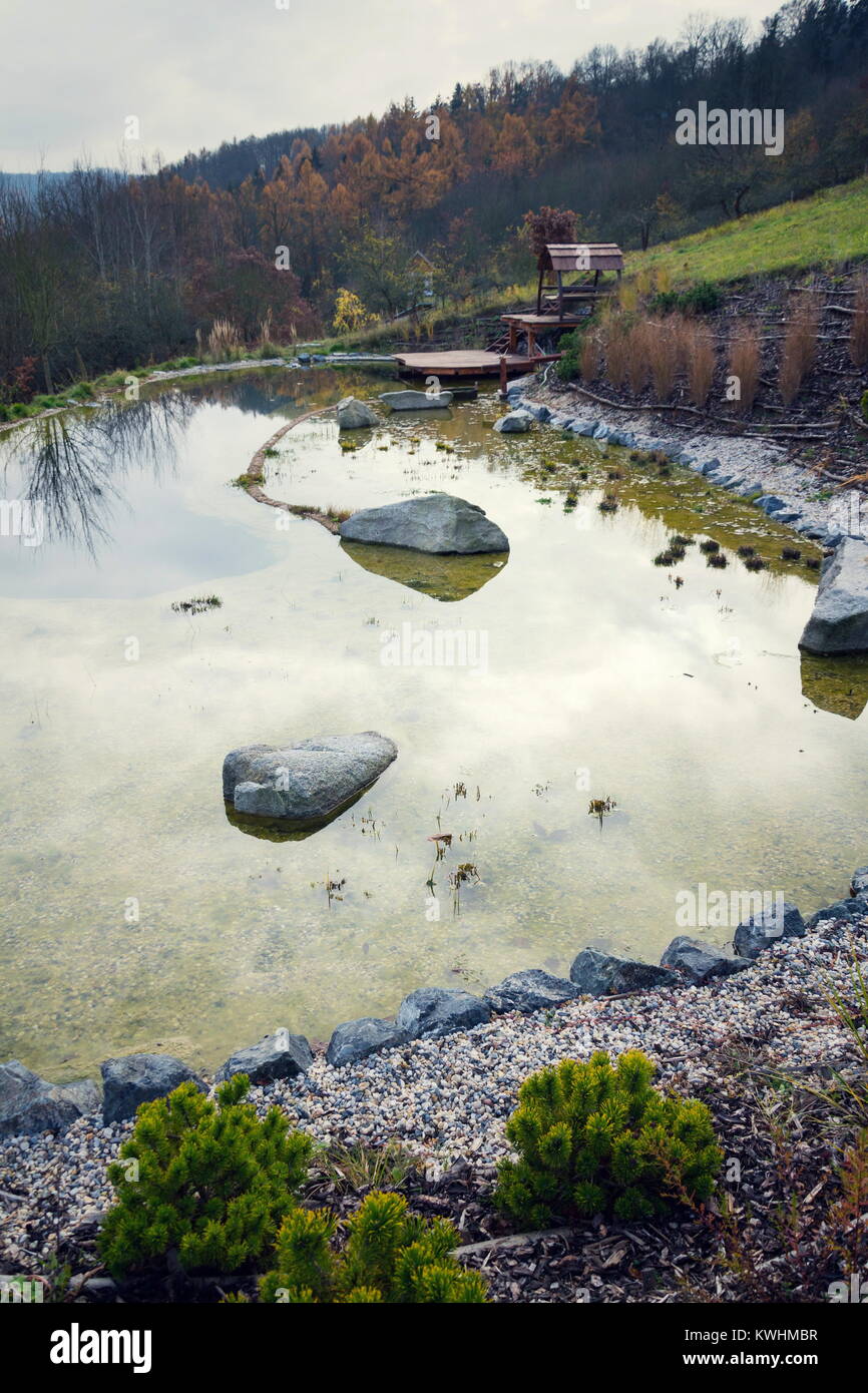 Pretty wooden pier at natural swimming pond purifying water plants ...