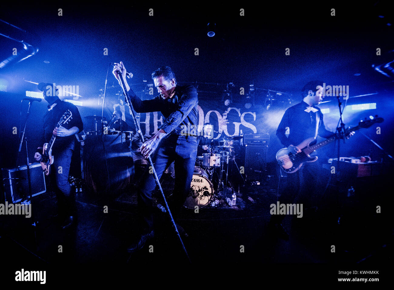 The Norwegian punk rock band The Dogs performs a live concert at BETA ...