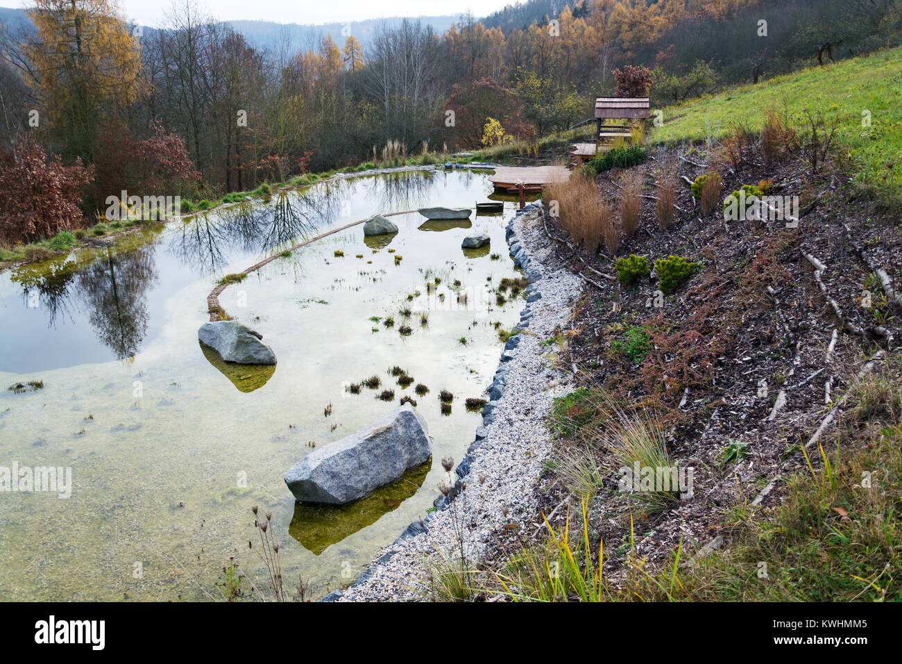 Pretty pond plants hi-res stock photography and images - Alamy