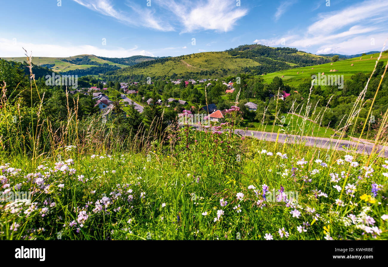 beautiful rural landscape in summertime. village along the road and ...
