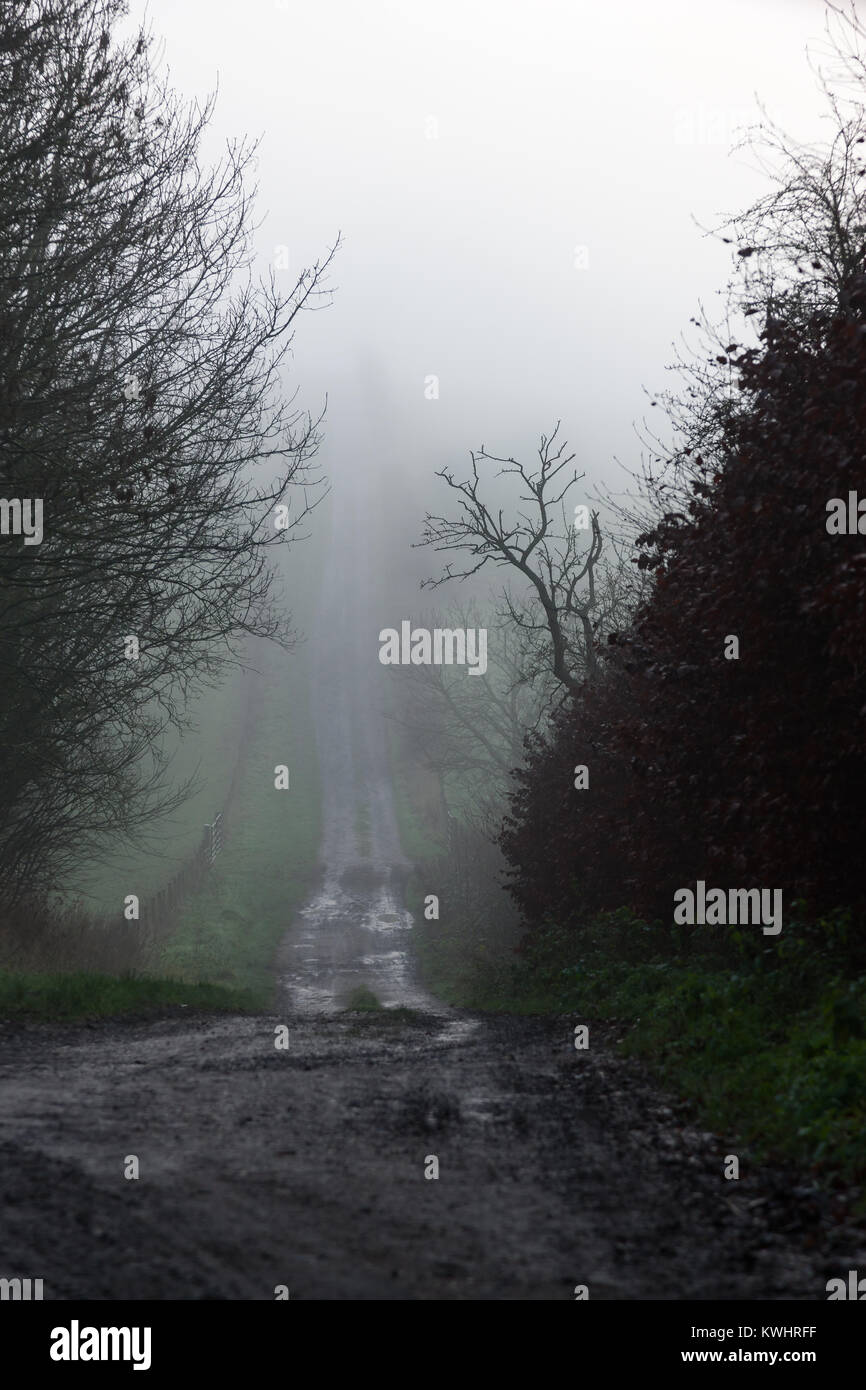 English country lane in fog after rain. England UK Stock Photo - Alamy