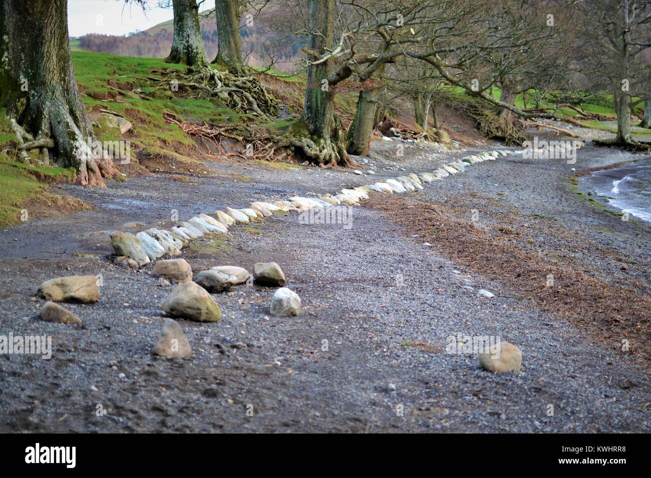 Line of larger bleached pebbles along a pebble beach at the edge of ...