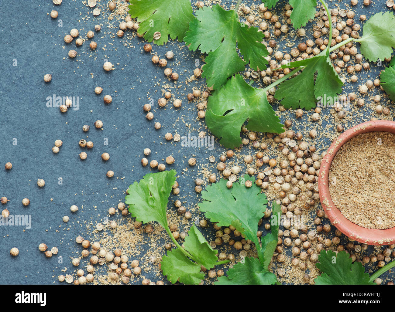Cilantro seeds hi-res stock photography and images - Alamy