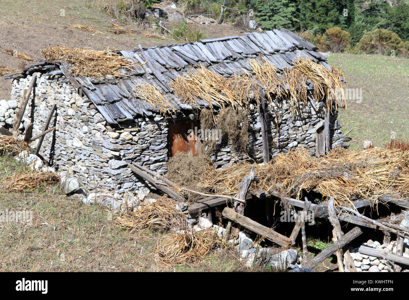 Old farmhouse and harvest in Nepal Stock Photo - Alamy