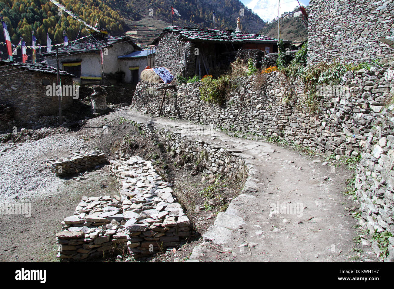 Stone footpath and village in Nepal Stock Photo - Alamy
