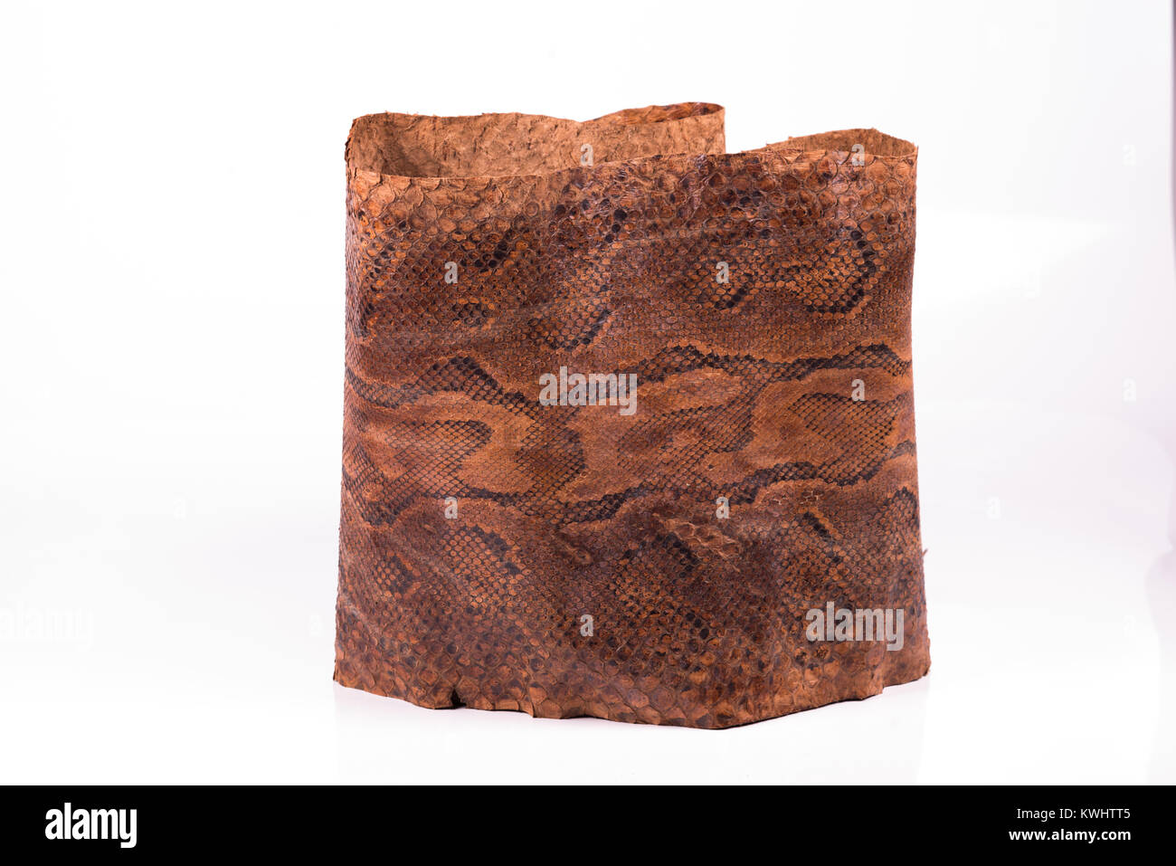 Rattlesnake skin pattern hi-res stock photography and images - Alamy