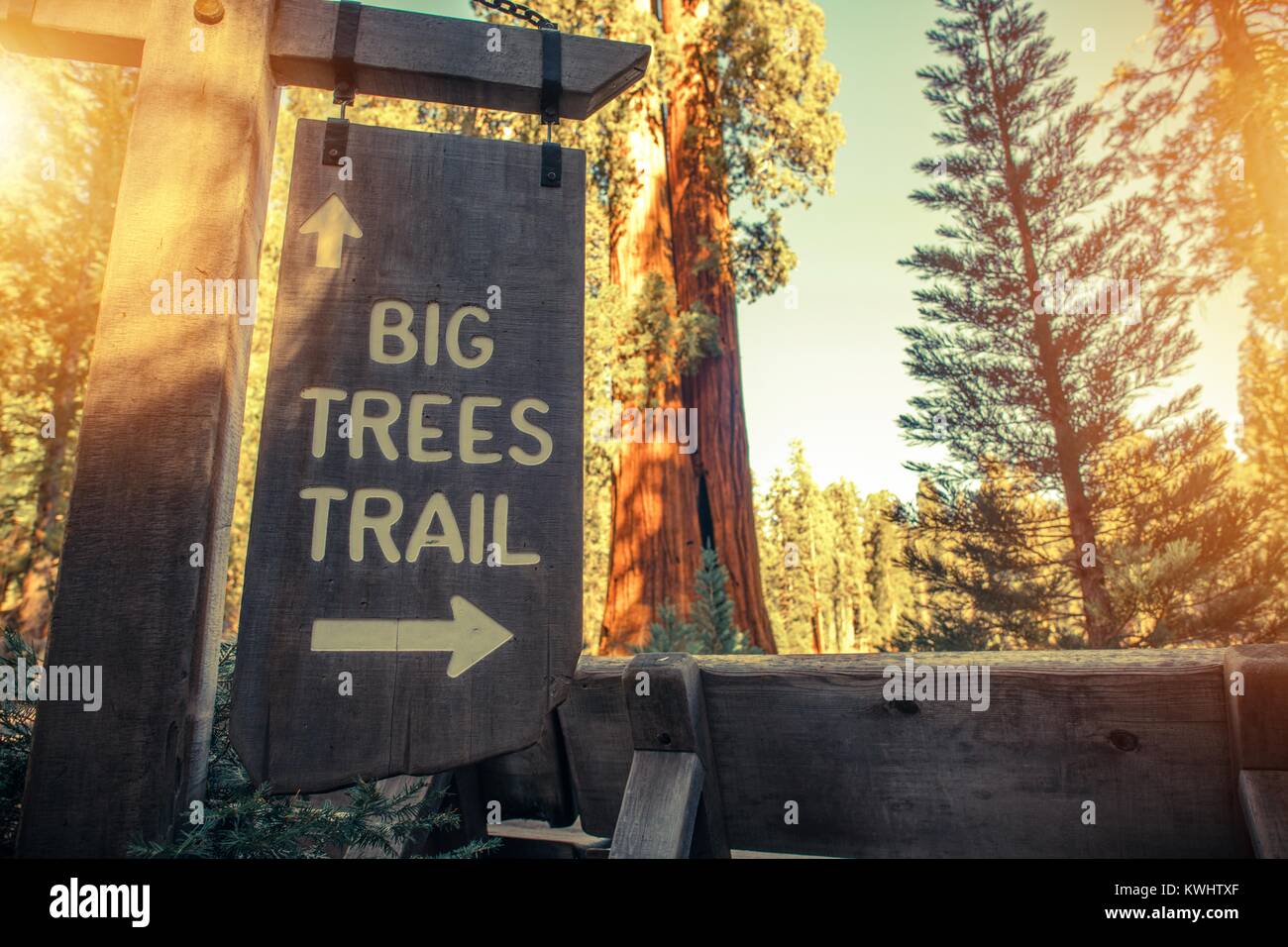 Big Trees Trail Sign. Giant Sequoias Forest Trail. Sierra Nevada ...