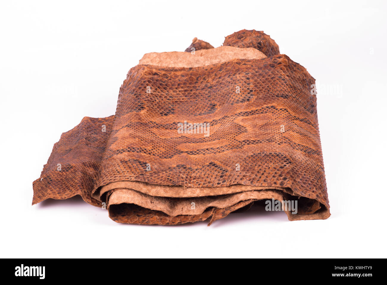 Snake skin seamless texture pattern hi-res stock photography and images ...