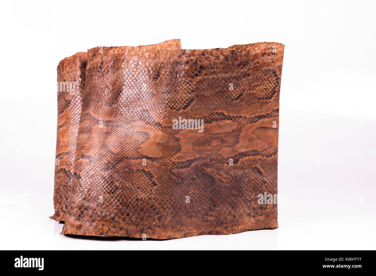 Natural scale skin snake design hi-res stock photography and images - Alamy