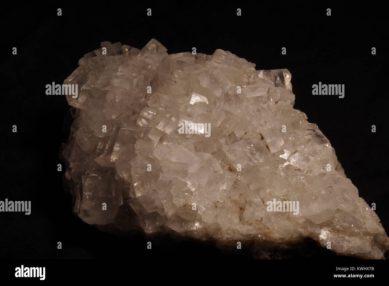 Collectable sample hi-res stock photography and images - Alamy